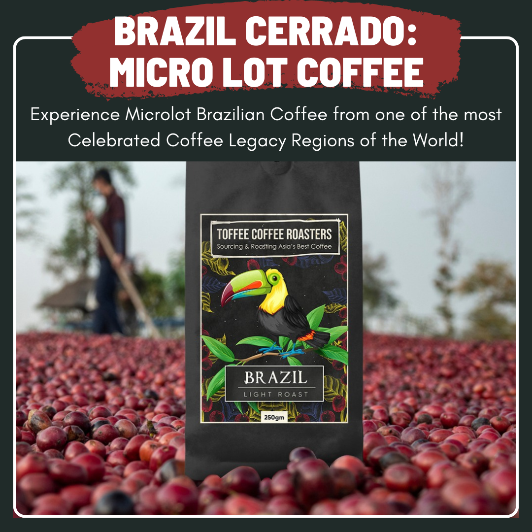 Buy Brazil Cerrado Coffee (Latin America) - Toffee Coffee Roasters