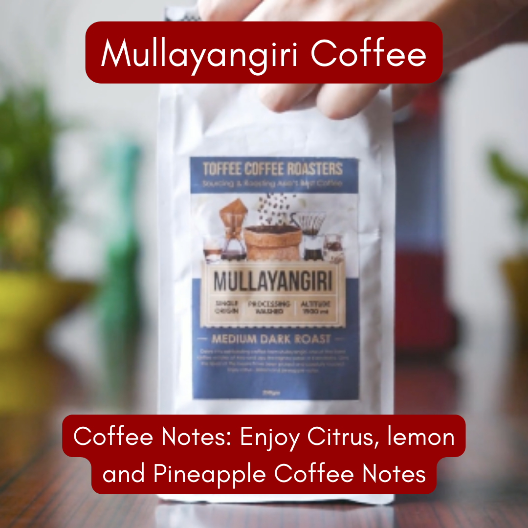 Shop Mullayangiri Estate Coffee | Toffee Coffee Roasters